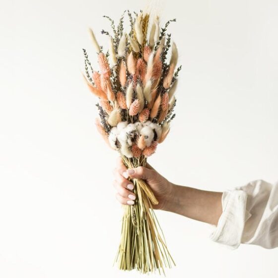 Orange Dried Flowers Sourcing Map 50pcs Natural Dried Bunny Tails ...